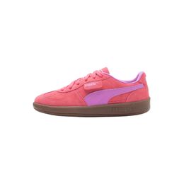 Puma Sneaker 'Palermo' Jungen Gr&ouml;&szlig;e 38 orchidee / himbeer