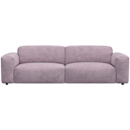 3-Sitzer FLEXLUX "Lucera Sofa, super bequem durch hochwertigen Sitzaufbau mit Kaltschaum", lila (soft lavender), B:252cm H:73cm T:102cm, 85% Polyester/15%Polyamide, Sofas, 3-Sitzer, modern & anschmiegsam, Designsofa