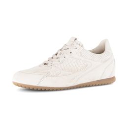 Sneaker Gabor "DAVOS", Damen, Gr. 39, beige, Ziegenveloursleder, Schuhe Sneaker, Freizeitschuh, Halbschuh, Schn&uuml;rschuh mit Lochmuster, G-Weite