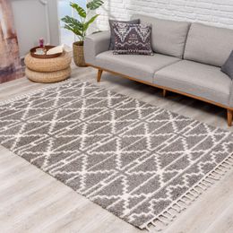 Hochflor-Teppich Carpet City "Pulpy 530" Gr. 35, grau, B:80cm H:30mm L:400cm, Kunstfaser, Teppiche, Hochflor-Teppich, besonders weich, mit Fransen, Geo-Muster