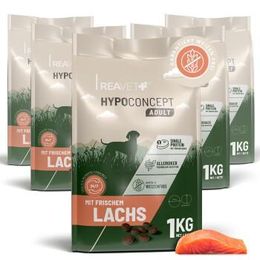 REAVET Hypoconcept Trockenfutter &ndash; Mit frischem Lachs