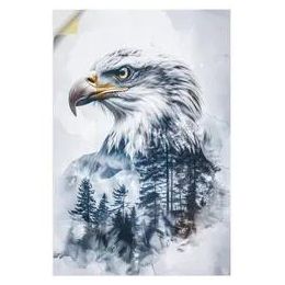 Wandbild Artland "Wei&szlig;kopfadler", farbe bild(er): blau, B:60cm H:90cm, Bilder, als Alubild, Leinwandbild, Poster, Wandaufkleber in verschied. Gr&ouml;&szlig;en