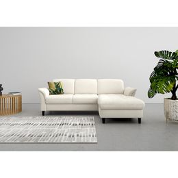 Sit & More sit&more Ecksofa &raquo;Maggiore L-Form&laquo; wahlweise mit Kopfteilverstellung, Bettfunktion und Bettkasten grau 95% Polyester, 5% Polyamid