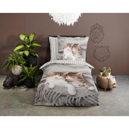 PURE luxury collection Kinderbettw&auml;sche &raquo;Snooze&laquo; 2 Stk. Mikrofaser, 135x200, Pflegeleicht, Rei&szlig;verschluss, Wende, Kind, Katze grau Microfaser, 