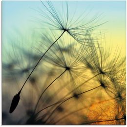 Artland Glasbild &raquo;Goldener Sonnenuntergang und Pusteblumen&laquo; Blumen 1 Stk. tlg. in verschiedenen Gr&ouml;&szlig;en gelb
