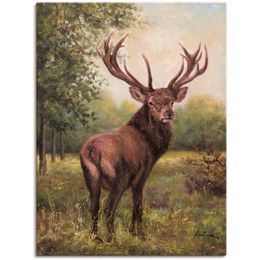 Artland Wandbild &raquo;Hirsch&laquo; Wildtiere 1 Stk. tlg. als Leinwandbild, Poster in verschied. Gr&ouml;&szlig;en gr&uuml;n Leinwand