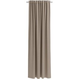 Neutex for you! Vorhang &raquo;Linessa&laquo; verdeckte Schlaufen 1 Stk. tlg. HxB: 245x137, Schal mit verdeckten Schlaufen beige Jacquard, Polyester