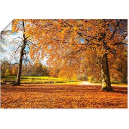Artland Wandbild &raquo;Herbst bei Schlosses Nymphenburg&laquo; Wiesen & B&auml;ume 1 Stk. tlg. als Leinwandbild, Poster in verschied. Gr&ouml;&szlig;en braun