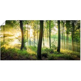 Artland Wandbild &raquo;Herbst im Wald II&laquo; Waldbilder 1 Stk. tlg. als Alubild, Leinwandbild, Poster in verschied. Gr&ouml;&szlig;en gr&uuml;n