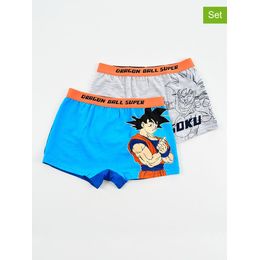 Dragon Ball 2er-Set: Boxershorts "Dragon Ball" in Hellblau/ Wei&szlig; - 37% | Gr&ouml;&szlig;e 116-128 | Kinder-waesche