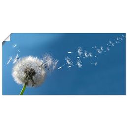 Artland Wandbild &raquo;Pusteblume&laquo; Blumen 1 Stk. tlg. als Leinwandbild, Poster in verschied. Gr&ouml;&szlig;en blau