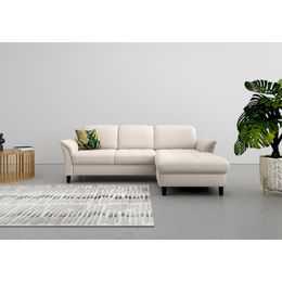 Sit & More sit&more Ecksofa &raquo;Maggiore L-Form&laquo; wahlweise mit Kopfteilverstellung, Bettfunktion und Bettkasten grau 95% Polyester, 5% Polyamid