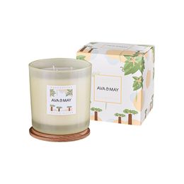 AVA & MAY AVA & MAY Duftkerze "Madagaskar" in Creme - 500 g - 54% | Kerzen-vasen