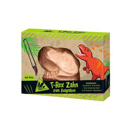 moses. Ausgrabungs-Set "T-Rex Zahn zum Ausgraben" - ab 6 Jahren - 21% | Experimentieren-spielzeug