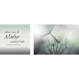 queence Leinwandbild &raquo;Natur&laquo; Blumen Blumenbilder Kunst Modern Schriftzug Schriftz&uuml;ge Spa Spa Bilder Spr&uuml;che Spr&uuml;che & Texte Set, Premium-Leinwandstoff