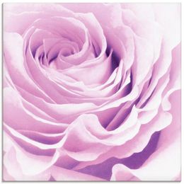 Artland Glasbild &raquo;Pastell Rose&laquo; Blumen 1 Stk. tlg. in verschiedenen Gr&ouml;&szlig;en pink