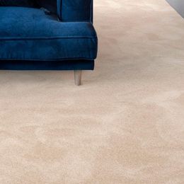 ANDIAMO Teppichboden &raquo;Levin, Velours, Made in Belgium&laquo; rechteckig 10 mm H&ouml;he Uni Farben, Breite 400 cm oder 500 cm, weiche Qualit&auml;t beige Kunstfaser