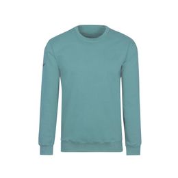 TRIGEMA Damen Sweatshirt &raquo;TRIGEMA Sweatshirt aus Biobaumwolle&laquo; gr&uuml;n M