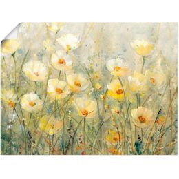 Artland Wandbild &raquo;Sommer in voller Bl&uuml;te I&laquo; Blumenwiese 1 Stk. tlg. als Alubild, Leinwandbild, Poster in verschied. Gr&ouml;&szlig;en gelb