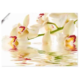 Artland Wandbild &raquo;Wei&szlig;e Orchidee mit Wasserreflektion&laquo; Blumen 1 Stk. tlg. als Leinwandbild, Poster in verschied. Gr&ouml;&szlig;en wei&szlig;