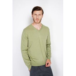 William de Faye Pullover in Gr&uuml;n - 76% | Gr&ouml;&szlig;e 48 | Herren-plussize