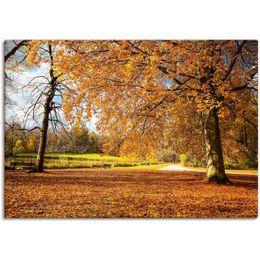 Artland Wandbild &raquo;Herbst bei Schlosses Nymphenburg&laquo; Wiesen & B&auml;ume 1 Stk. tlg. als Leinwandbild, Poster in verschied. Gr&ouml;&szlig;en braun Leinwand