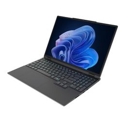 Captiva Gaming-Notebook &raquo;Highend Gaming I98-013CH&laquo; Windows 11 Pro 64-bit, Schweizer Tastatur Layout