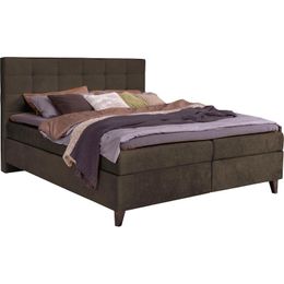Alina Boxspringbett &raquo;Neomi&laquo; inklusive Matratze und Topper braun Samt ENF (95% Polyester, 5% Polyamid)