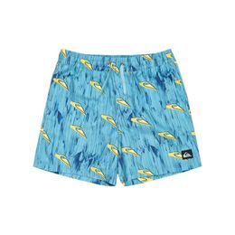 Quiksilver Herren Badeshorts &raquo;Next Gen 14"&laquo; 10