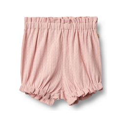 Wheat Strickshorts in Rosa - 43% | Gr&ouml;&szlig;e 62 | Babyhosen
