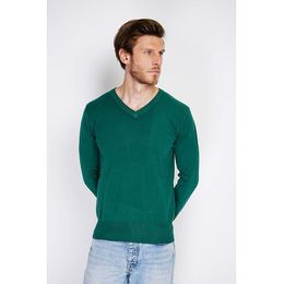 William de Faye Pullover in Gr&uuml;n - 77% | Gr&ouml;&szlig;e 48 | Herren-plussize