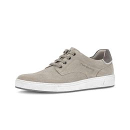 Gabor Herren Sneaker &raquo;Sneaker low&laquo; 42