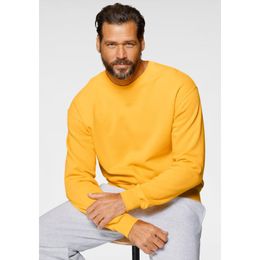 Fruit of the Loom Herren Fruit of the Loom Sweatshirt, im unifarbenen Design gelb S (44/46)