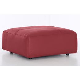 Hocker Musterring "LUCIA", rot (karminrot bax), B:100cm H:43cm T:100cm, Flachgewebe VALMONT (60% Baumwolle/40% Leinen);Leder PURO, pigmentiertes Leder;Microfaser CRONA (100% Polyester);Flachgewebe FLORIS (100% Polyester);Leder BAX, pigmentiertes Leder, Hocker, Hocker