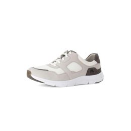 Gabor Sneaker low in grau | Gr.: 43