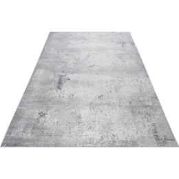 Teppich Wecon Home "Radiate", grau, B:120cm H:6mm L:170cm, Polyester, Teppiche, Teppich, Flachgewebe, Vintage Look