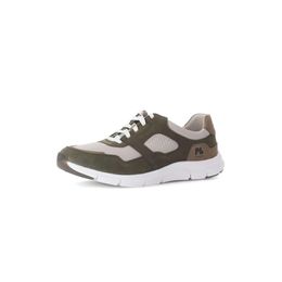 Gabor Sneaker low in gr&uuml;n | Gr.: 40