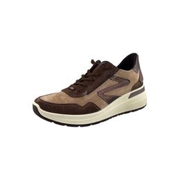 Ara Sneaker Low in Braun | Gr.: 41,5