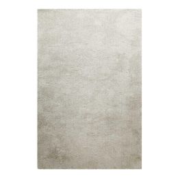 Teppich HOMIE LIVING "Pisa", hellgrau creme, B:80cm H:25mm L:150cm, Polyester, Teppiche, Teppich, Hochflor, Microfaser, uni, weich, Shaggy, Wohnzimmer, Schlafzimmer