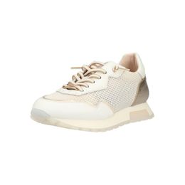 Hispanitas Sneaker in Gold | Gr.: 42