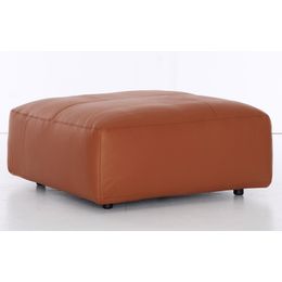 Hocker Musterring "LUCIA", braun (brandy bax), B:100cm H:43cm T:100cm, Flachgewebe VALMONT (60% Baumwolle/40% Leinen);Leder PURO, pigmentiertes Leder;Microfaser CRONA (100% Polyester);Flachgewebe FLORIS (100% Polyester);Leder BAX, pigmentiertes Leder, Hocker, Hocker