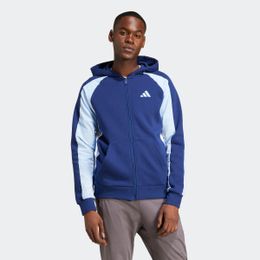 Kapuzensweatshirt adidas Sportswear "SEASONAL ESSENTIALS COLORBLOCK", Herren, Gr. M, blau (dunkelblau), Obermaterial: 55% Baumwolle, 36% Polyester, 9% Viskose, angesetztes B&uuml;ndchen, Sweatshirts