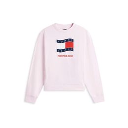 Tommy Jeans Sweatshirt female Pink size 3XL
