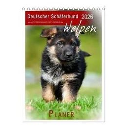 Deutscher Sch&auml;ferhund - Welpen, Planer (Tischkalender 2026 DIN A5 hoch), Calvendo Monatskalender