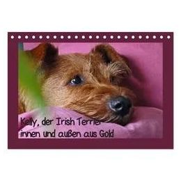 Kelly, der Irish Terrier - innen und au&szlig;en aus Gold (Tischkalender 2026 DIN A5 quer), Calvendo Monatskalender