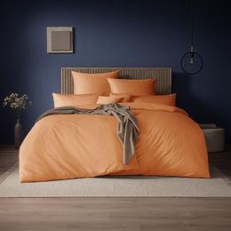 Bettw&auml;sche Estella "Valetta", 450, apricot, B/L: 155cm x 220cm, 1 Stk., 1 Stk., Mako-Satin, B/L: 80cm x 80cm, 2 tlg., Mako-Satin, Obermaterial: 100% Baumwolle, Bettw&auml;sche, Bettw&auml;sche, Mako-Satin, 100% Baumwolle, mercerisiert