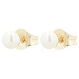 Adelia&acute;s Paar Ohrh&auml;nger ADELIA ́S "Damen Ohrringe &ndash; Ohrstecker aus 333 Gold mit Perle", Damen, Gr. Damen, gold, Ohrringe, Ein Geschenk, das Freude macht