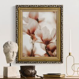 Bilderwelten Bild mit Barockrahmen Antik Blumen Motiv Barock rosa - Zarte Magnolienbl&uuml;ten im Lichtspiel - edle Optik Wohnzimmer Schlafzimmer