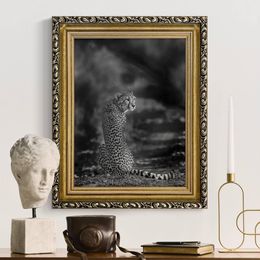 Bilderwelten Bild mit Barockrahmen Antik Tiere Motiv Barock schwarz weiss - Gepard in der Wildness - edle Optik Wohnzimmer Schlafzimmer