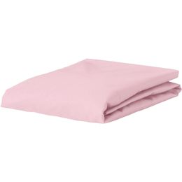 Spannbettlaken Esprit, B:100cm L:200cm, rosa, Jersey-Elasthan, Obermaterial: 95% Baumwolle, 5% Elasthan, Bettlaken, "SHEET", mit Gummizug